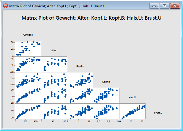 Matrixdiagramm - Dr. Benner Heilbronn